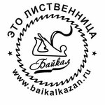 Байкал (Gvardeyskaya ulitsa No:53А), ahşap endüstrisi  Kazan'dan