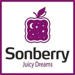 Sonberry (Frunze Avenue No:38), yatak üreticileri  Yaroslavl'dan