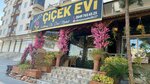 Akasya Çiçek evi (Yeditepe Mah., 85109 Nolu Sok., No:18, Şahinbey, Gaziantep), çiçekçiler  Gaziantep'ten