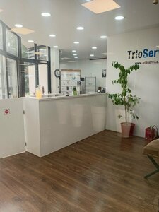 Trio Service (İstanbul, Beşiktaş, Sinanpaşa Mah., Beşiktaş Cad., 37A), otomobil servisi  İstanbul'dan