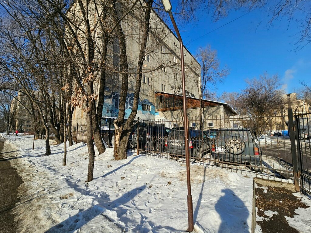 Bilişim firmaları Nitec, Almatı, foto