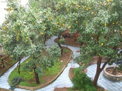 Otel Le Stanze del VIcere Boutique Hotel, Napoli, foto