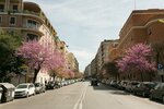 Wonder Colosseum Delight (Via Gallia No:64), kısa süreli konaklama  Roma'dan