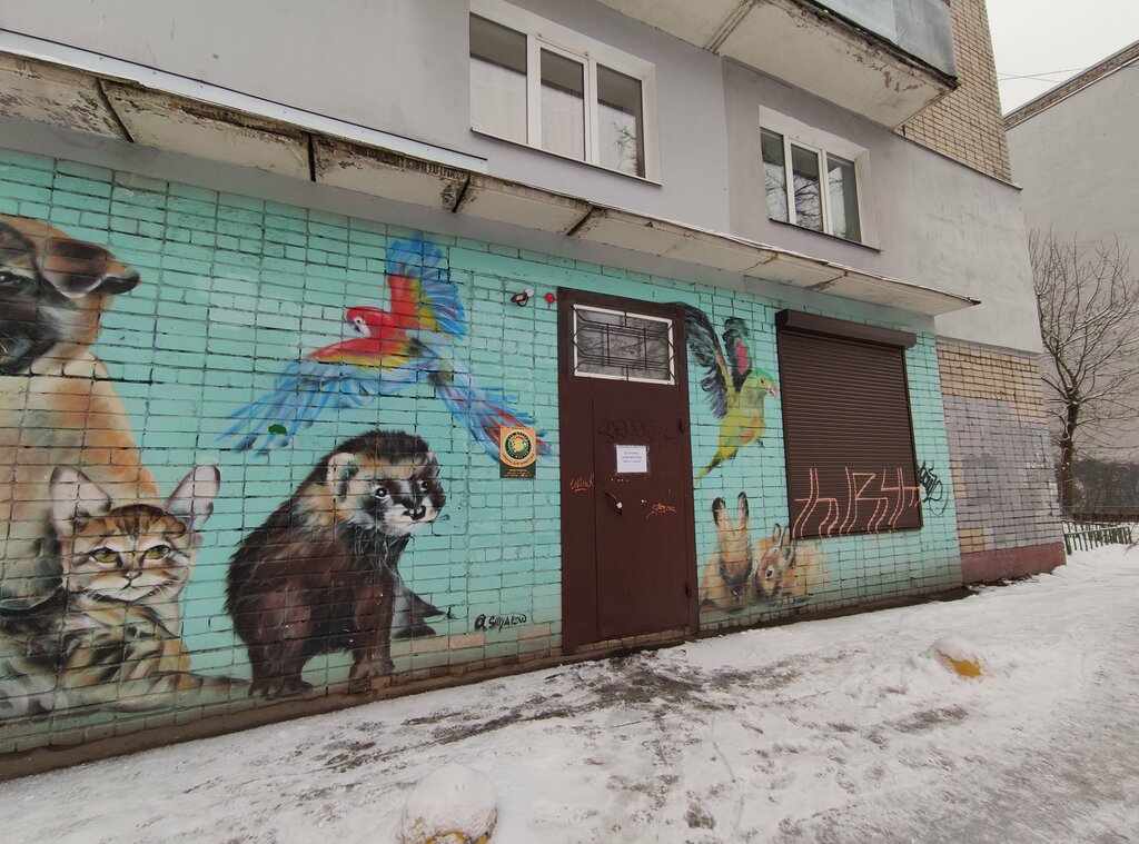 Petshop Sto druzey sta mastey, Yaroslavl, foto