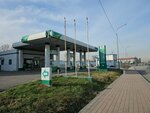 Gas station № 1 Satti Zhol (Dýlatı kóshesi No:225/6), benzin istasyonu  Çimkent'ten (Şımkent'ten)