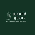 Живой Декор (ulitsa Lenina No:131), çiçekçiler  Bor'dan