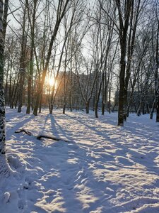 сквер имени А.С. Макаренко (Moscow Region, Korolyov, skver imeni A.S. Makarenko), kültür ve eğlence parkları  Koroliov'dan