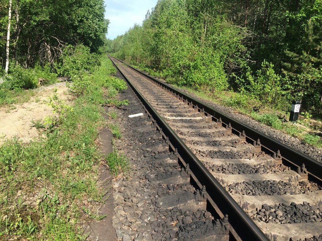 Yük istasyonu остановочный пункт Паперо, Karelya, foto