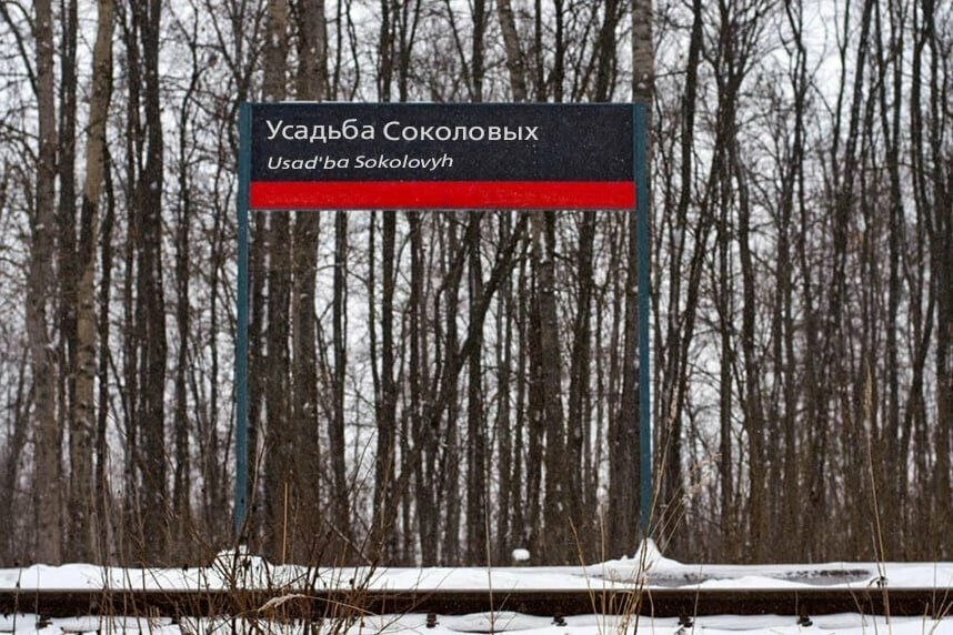 Tren istasyonu остановочный пункт Усадьба Соколовых, Voronejskaya oblastı, foto