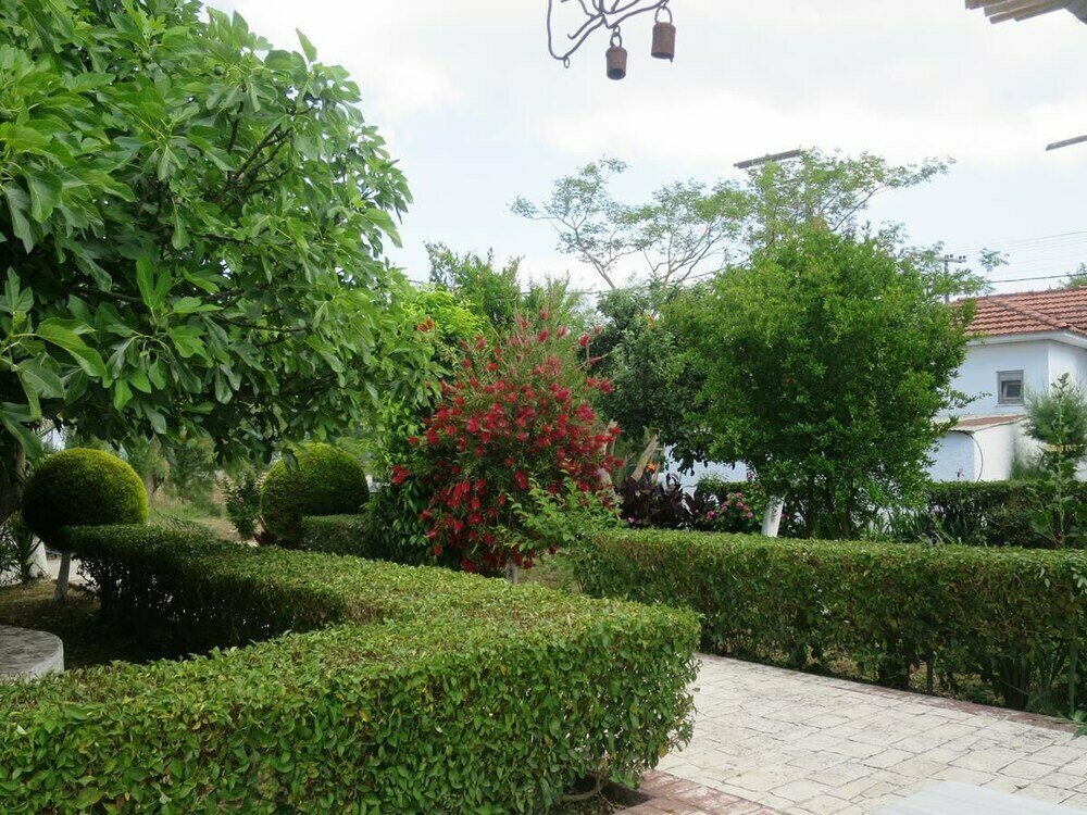 Otel Kapsaskis Studios, Dünya, foto