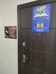 Аксиома (9 Yanvarya Street No:68Б), kurs  Voronej'den