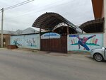 Yrysty (Qara Býra kóshesі No:107), anaokulları  Çimkent'ten (Şımkent'ten)