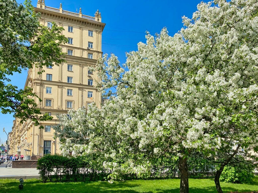 Meydan Chkalovsky Public Garden, Moskova, foto
