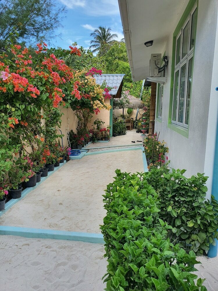 Otel Island Guest, Gaafu Alif Atolü, foto