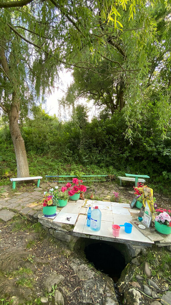 Pınar, çay Spring, stream, Krasnodarski krayı, foto