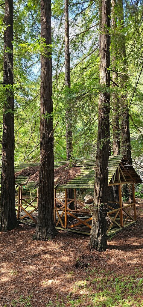 Piknik alanı Place for picnic, Gagra Bölgesi, foto