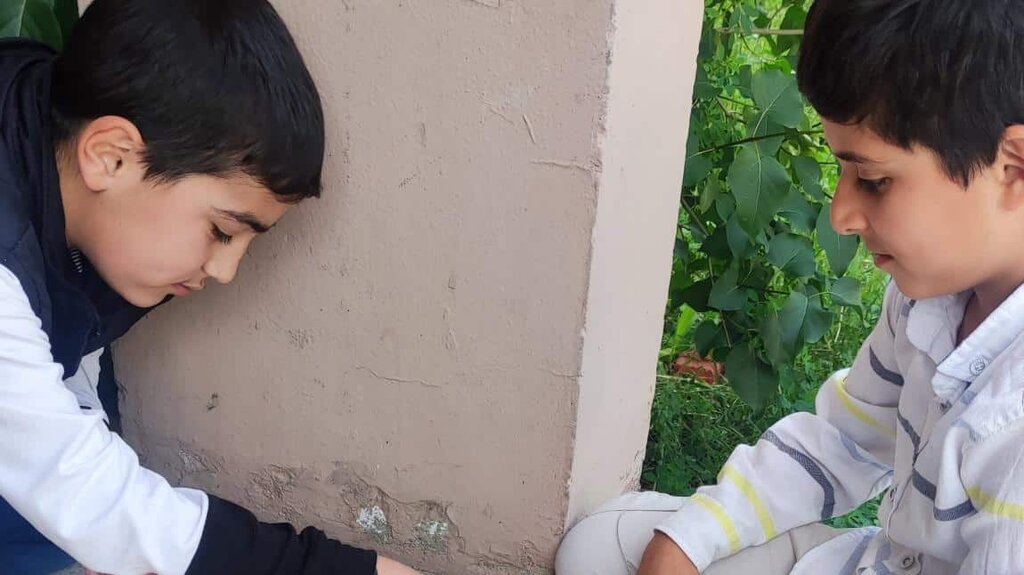 Ortaokul Muhammed Celali İmam Hatip Ortaokulu, Ağrı, foto