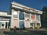 Tax Services (Nursultan Nazarbaev dańǵyly No:44), mali müşavir  Taldıkorgan'dan