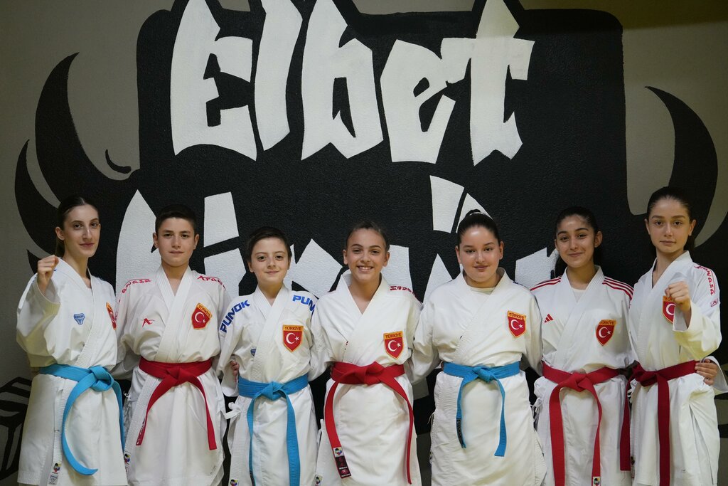 Boya ve cila malzemeleri üretim ve satış yerleri Barış Kılıç Karate Okulları, Sarıyer, foto