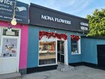 Mona Flowers (Qaraýylbek Qazıev kóshesі No:1560), çiçekçiler  Çimkent'ten (Şımkent'ten)