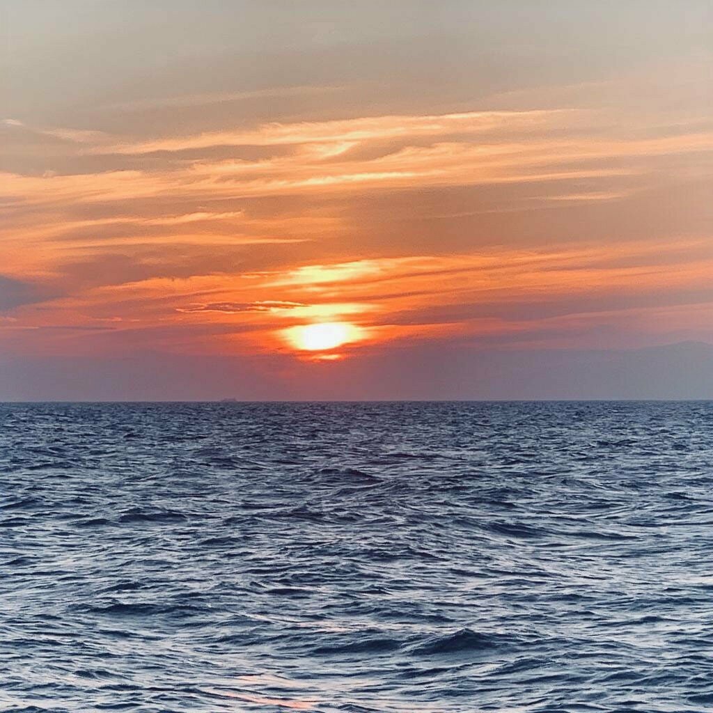 Ekmek fırını Acun Börek Salonu, Çınarcık, foto