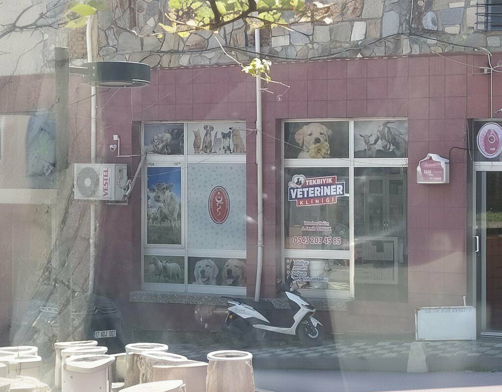 Veteriner klinikleri Tekbıyık Veteriner Kliniği, Ayvacık, foto