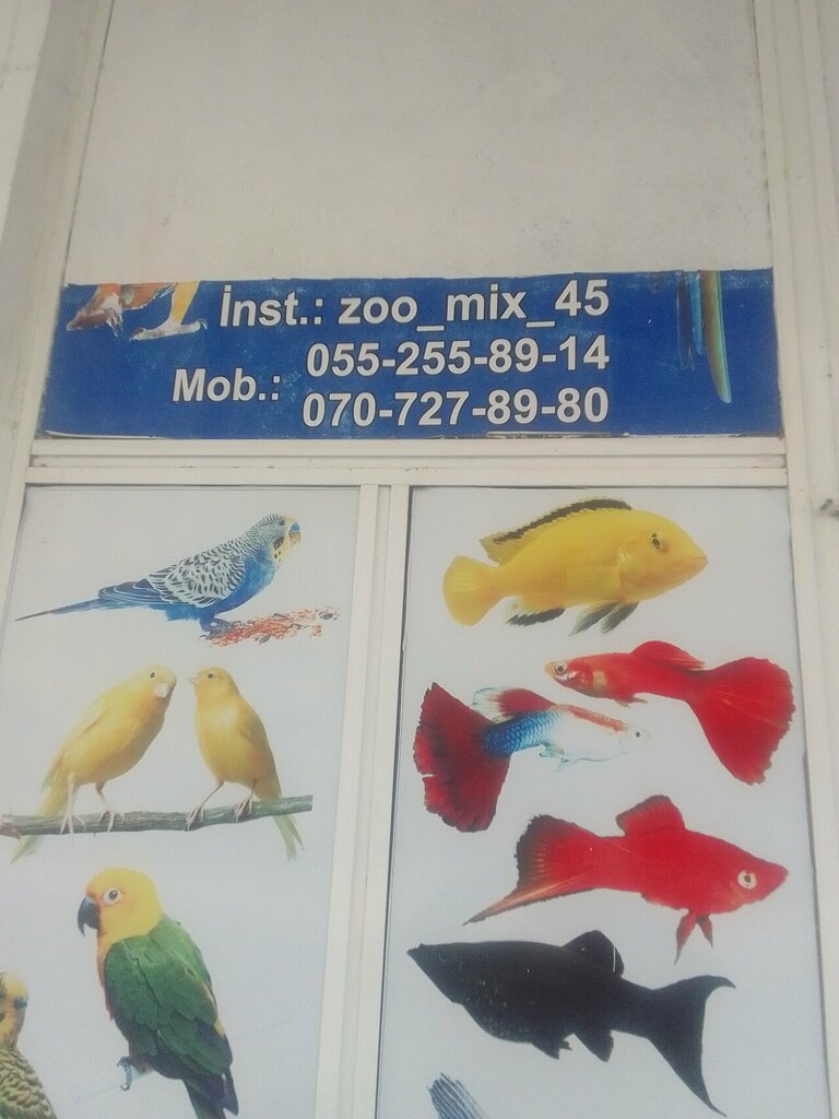 Petshop Zoo Mix 45, Mingeçevir, foto