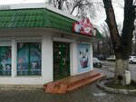 Alina (Balti, ulitsa Shevchenko), manavlar  Beltsi'den