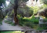 Ihlara Vadisi Kamp Alanı (Aksaray, Güzelyurt, Ihlara Beldesi, Karşıyaka Mah.), kamp alanları  Güzelyurt'tan