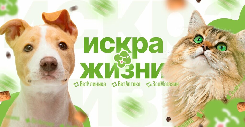 Veteriner klinikleri Spark of life, Moskova, foto