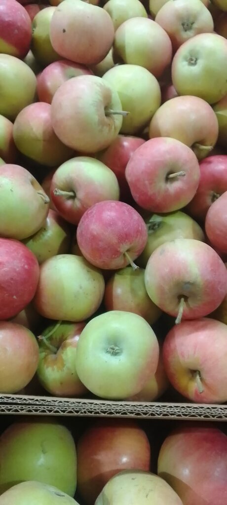 Toptan sebze ve meyve satışı Алекс Торг, Slaviansk‑na‑Kubani, foto