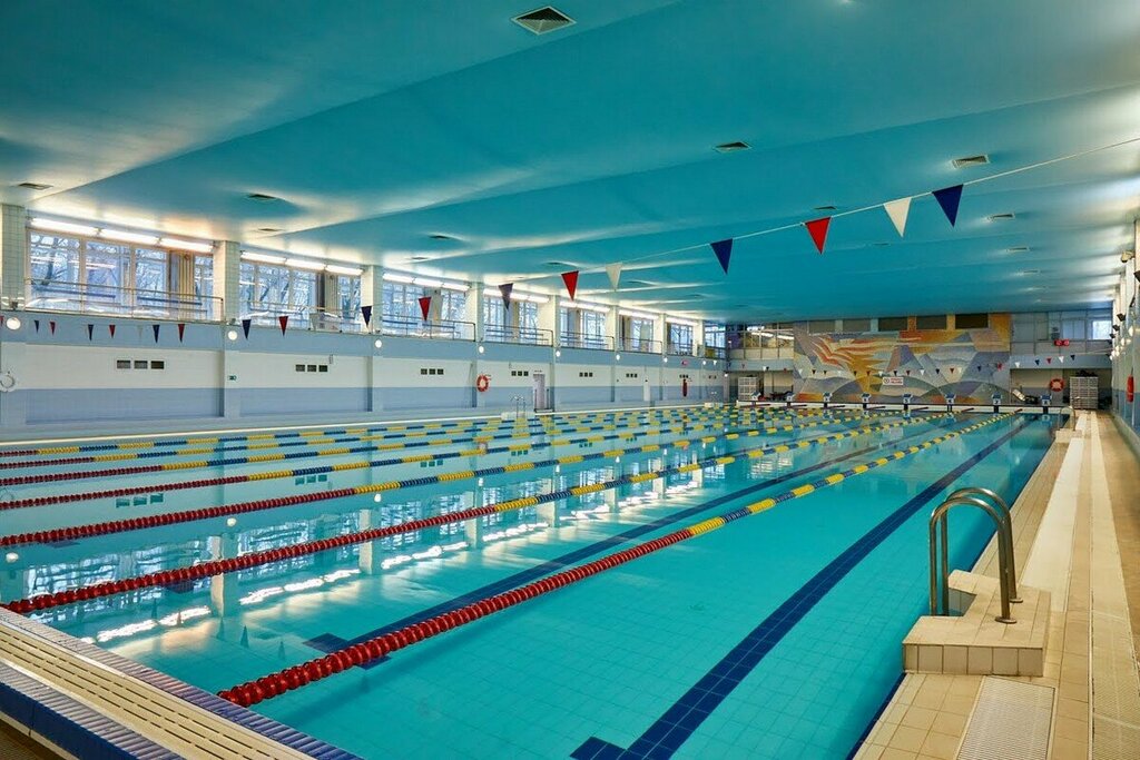 Spor kulüpleri Shark Kick, Moskova, foto