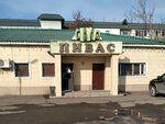 Pivas (Zhansugurov Street No:226), bira dükkanı  Taldıkorgan'dan