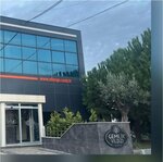 Efe Ege Zeytincilik (Bursa, Orhangazi, Çeltikçi Mah., Marmara Zeytin İşletmeleri Merkezi, F Blok), gıda üreticileri  Orhangazi'den