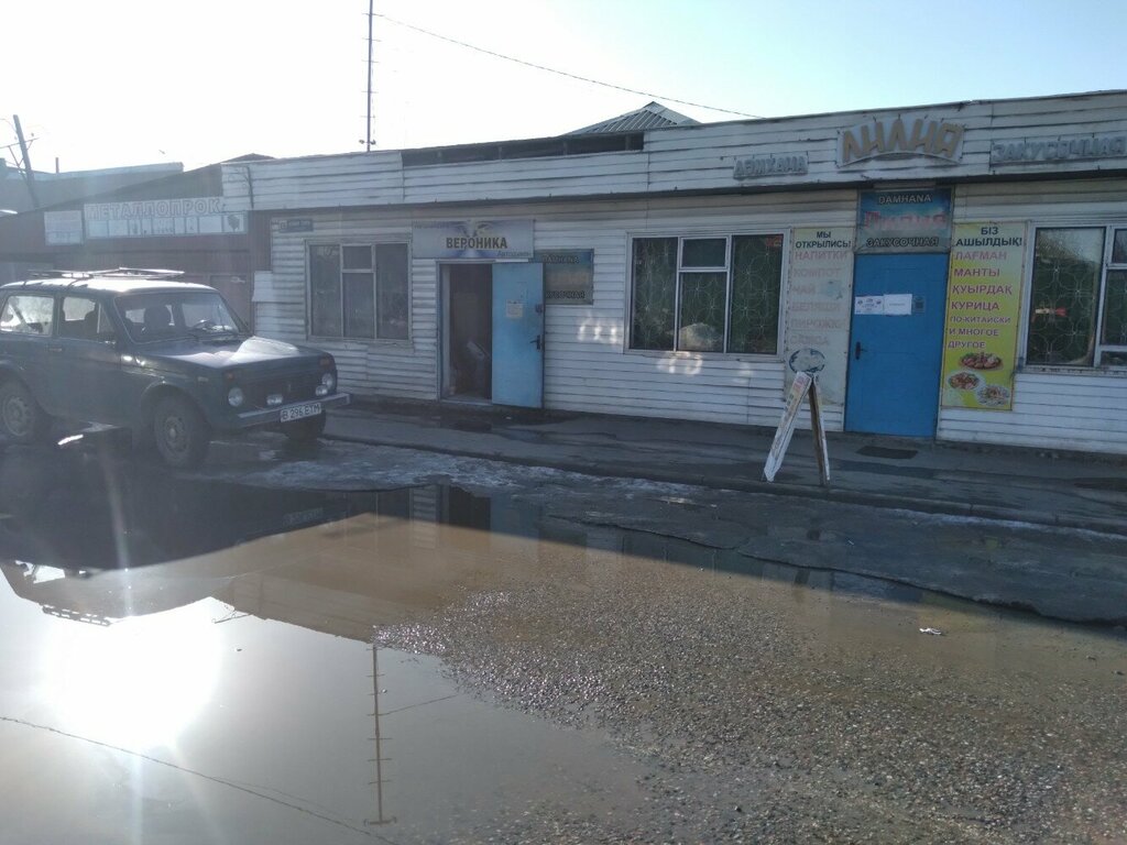 Otomobil yedek parçaları Veronika, Taldıkorgan, foto