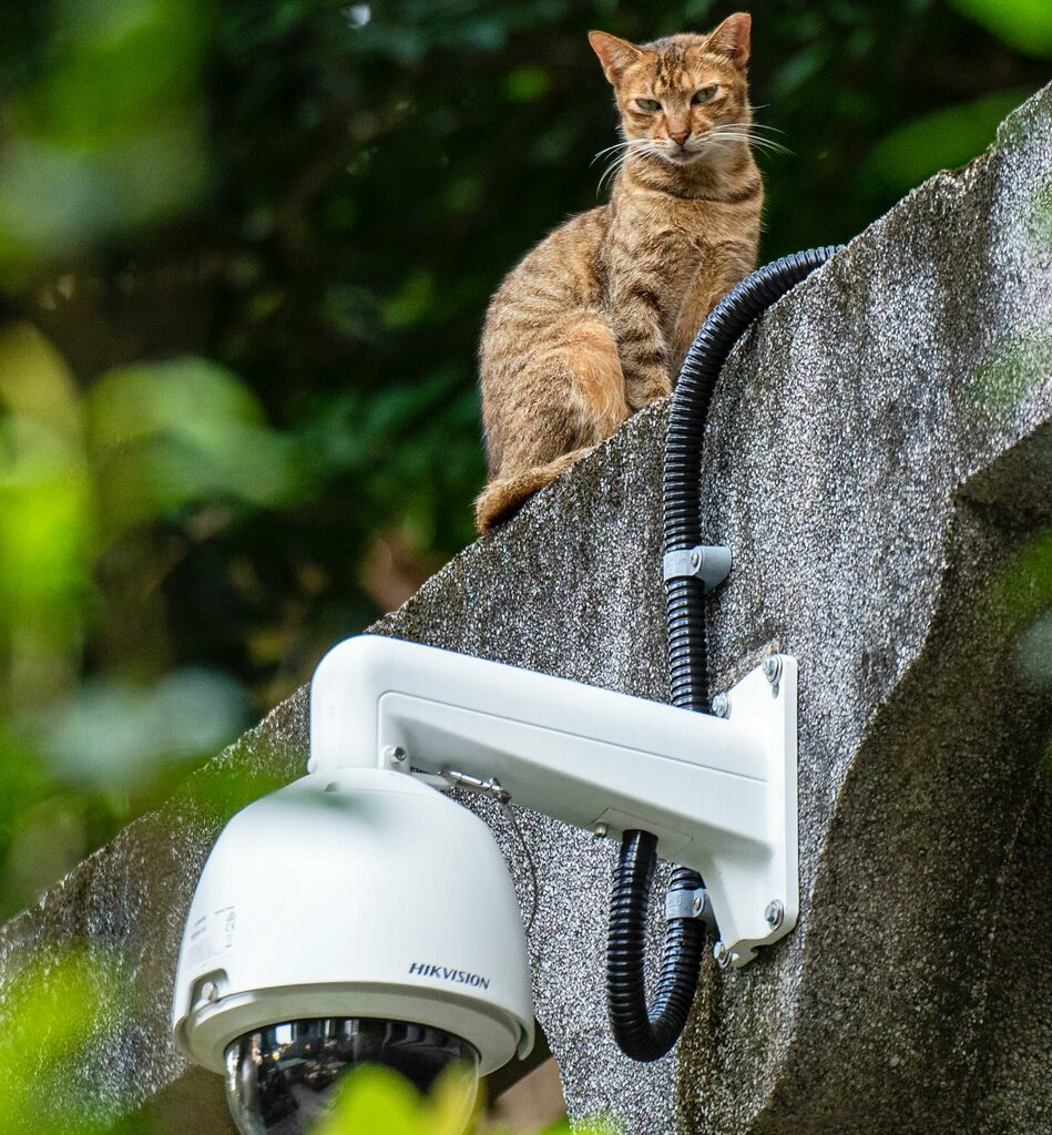 Güvenlik ve alarm sistemleri Pro-Security, Almatı, foto