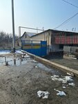 Ottegi (Túrkіstan kóshesі No:88, Yntymaq yqsham aýdany), tüp bayileri  Çimkent'ten (Şımkent'ten)