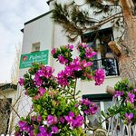 Palmiye Butik Pansiyon (İskele Mah., Liman Cad., No:54, Karaburun, İzmir), pansiyonlar, hosteller  Karaburun'dan