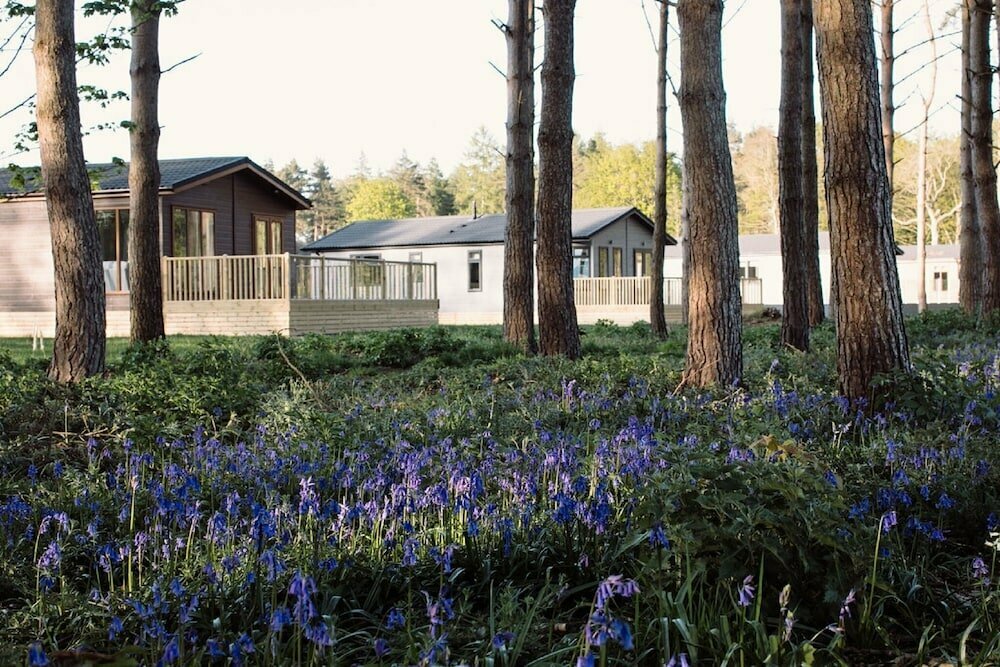 Otel Hollicarrs - Newlands, Kuzey Yorkshire County, foto