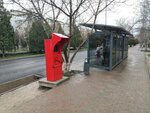 Qiwi (Shymkent, Nursát shaǵyn aýdany, Nazarbekov kóshesi), ödeme terminali  Çimkent'ten (Şımkent'ten)