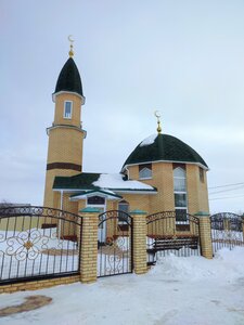 Сулейман (ulitsa Pobedy No:47, selo Staroyanzigitovo), cami  Başkurdistan'dan