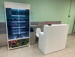 Ёжик в Тумане (Fabrichnaya ulitsa No:47, Chemodanovka Village), elektronik sigara satış noktaları  Penzenskaya oblastından