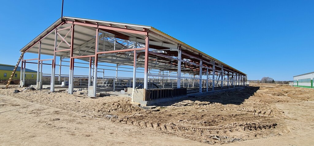 Endüstriyel temizlik Peskostrui43, Kirovskaya oblastı, foto