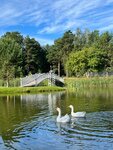 Пикник (Tyumenskiy rayon, Chervishevskiy trakt, 7-y kilometr, 1), resort oteller, tesisler  Tümen (Tiumenskaya) oblastından