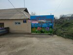 Nurshashu (Nurshashý kóshesi No:15, Shymkent), anaokulları  Çimkent'ten (Şımkent'ten)