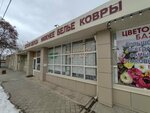 Магазин ковров (Dimitrova Street No:67), halı mağazaları  Voronej'den