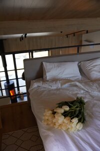 Alpaka (Zvyozdnaya ulitsa No:2Ак1, selo Uznezya), otel  Altay Cumhuriyeti'nden