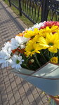 Florist (vulica Ivana Jakuboŭskaha No:25А), çiçekçiler  Gorki'den