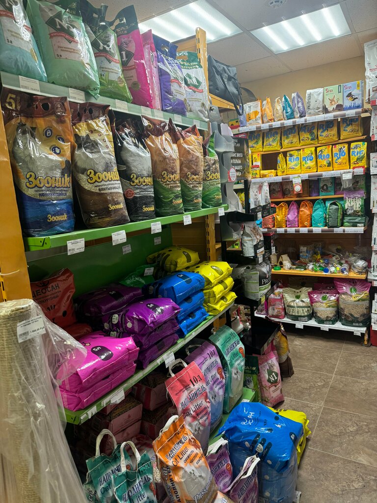 Petshop Кот Леопольд, İvanovo, foto