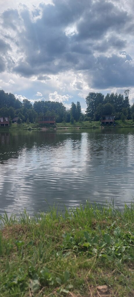 Piknik alanı Зона отдыха в Химках, Himki, foto